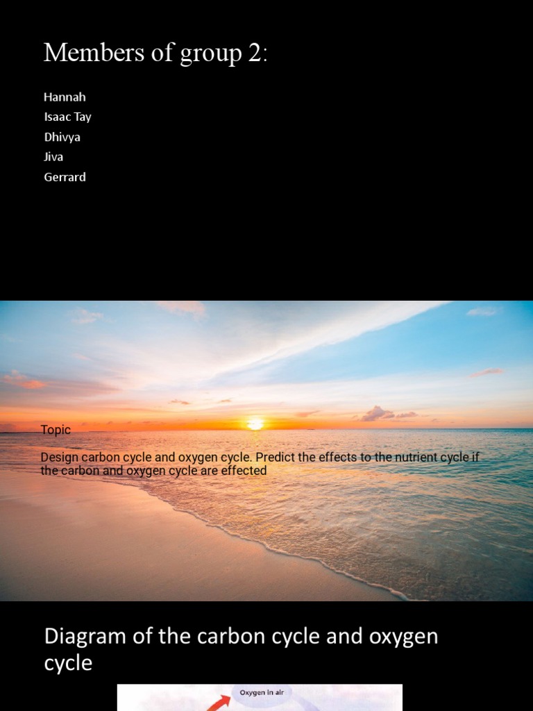 Carbon Cycle and Oxygen Cycle | PDF