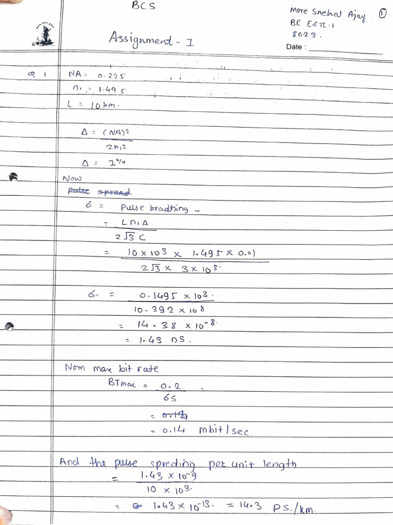 Bcs Assignment 1 | PDF
