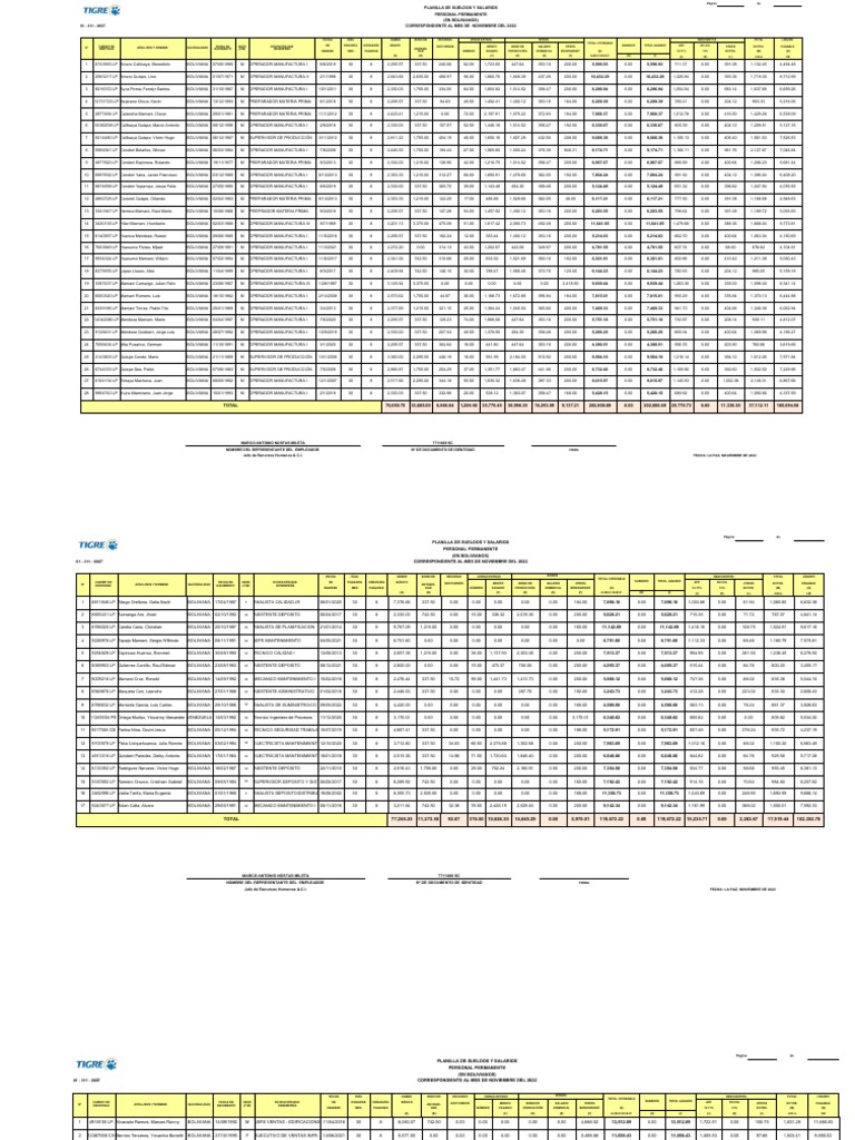 CNS 11 2022 Lp-Eal | PDF | Salario | Empleo