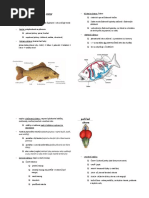 Obrúčkavce | PDF