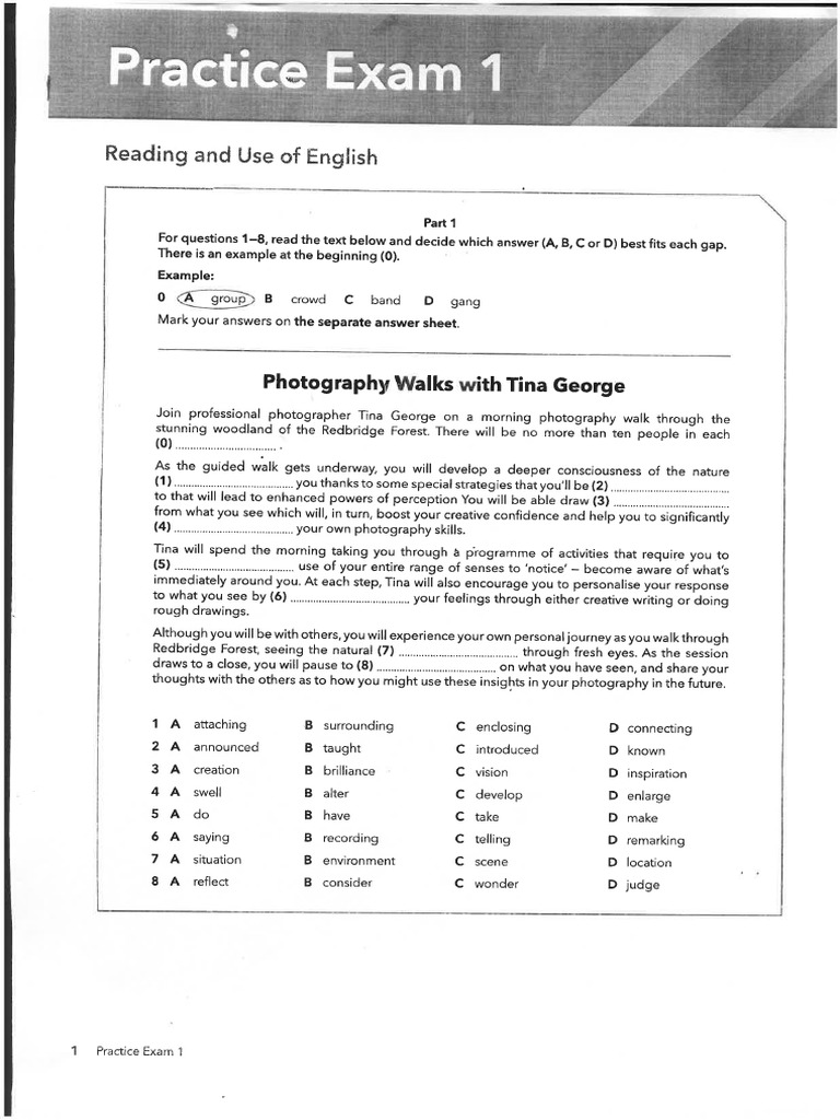 Reading and Use of English Pag. 1 | PDF