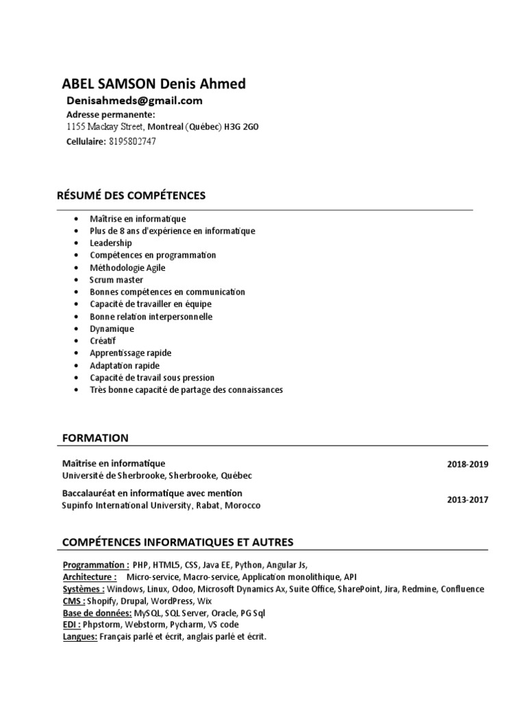 CV Denis Frofficiel | PDF | Internet | Internet et Web