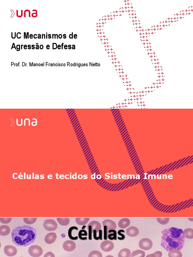 02 Células E Tecidos Do Sistema Imune Pdf Sistema Imunológico