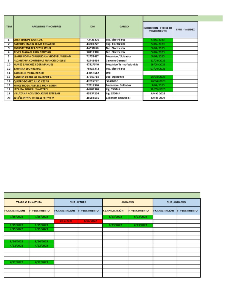 Matriz de Cursos de RRCC | PDF