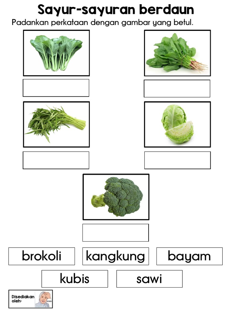 Latihan Sayur-Sayuran Berdaun | PDF