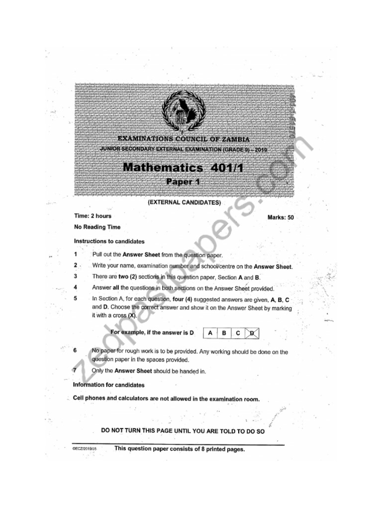 G9 2019 Math P1 External | PDF