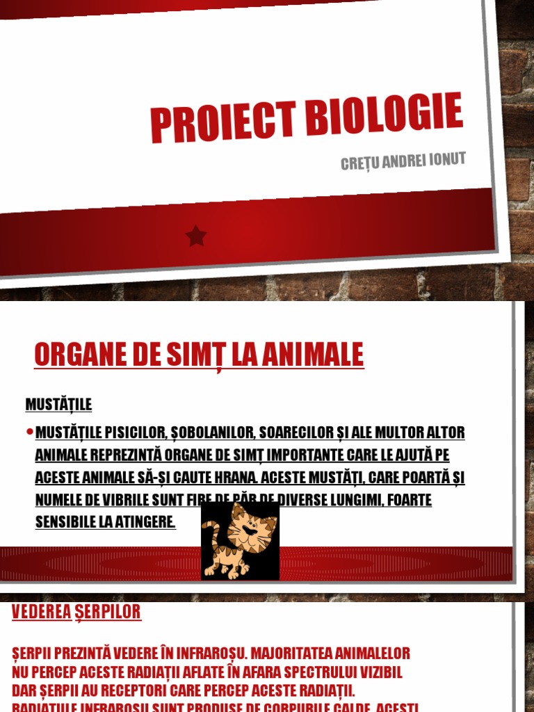Biologie | PDF