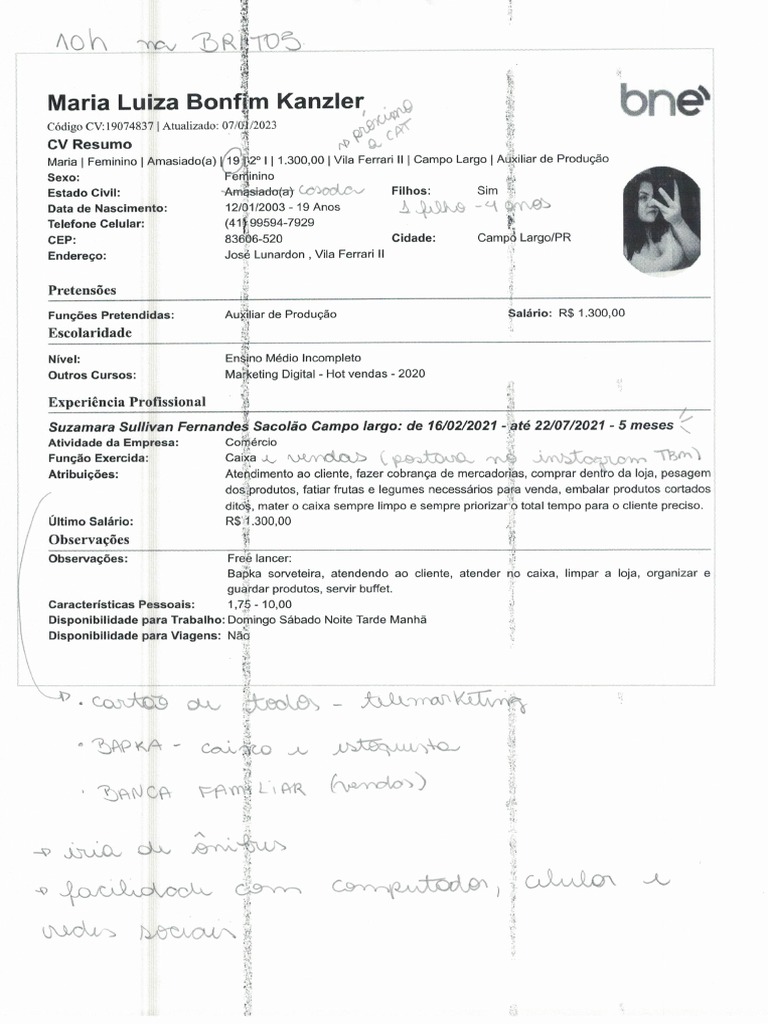 Currículos - Britos | PDF