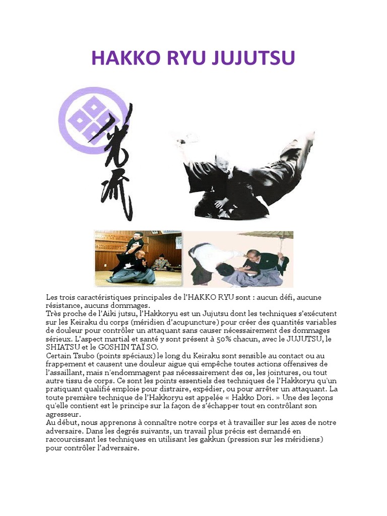 Hakko Ryu Jujutsu | PDF