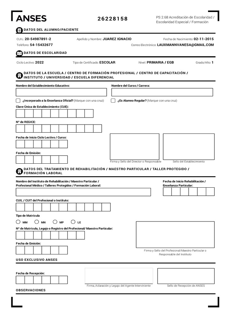 Planilla Anses | PDF
