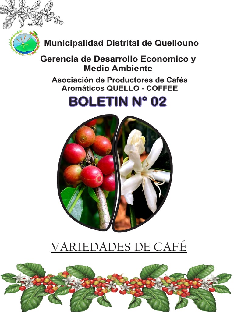 Boletin #02 Variedades 1 | Descargar gratis PDF | café | Hierbas Medicinales Y Hongos