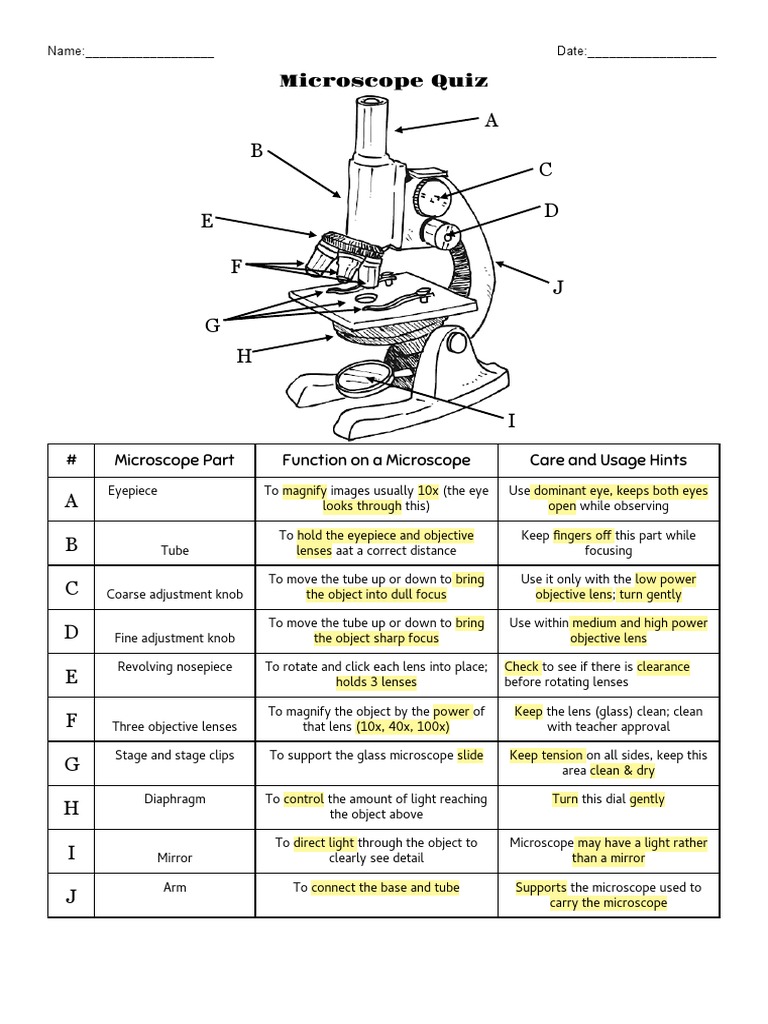 Chloe Hau-Sum Lee - Microscope Quiz | PDF | Microscope | Lenses