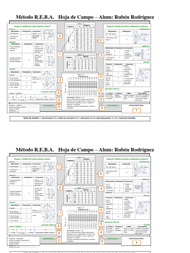 Reba Hoja de Campo - Rubén Rodríguez | PDF | Anatomía humana | Sistema musculoesquelético
