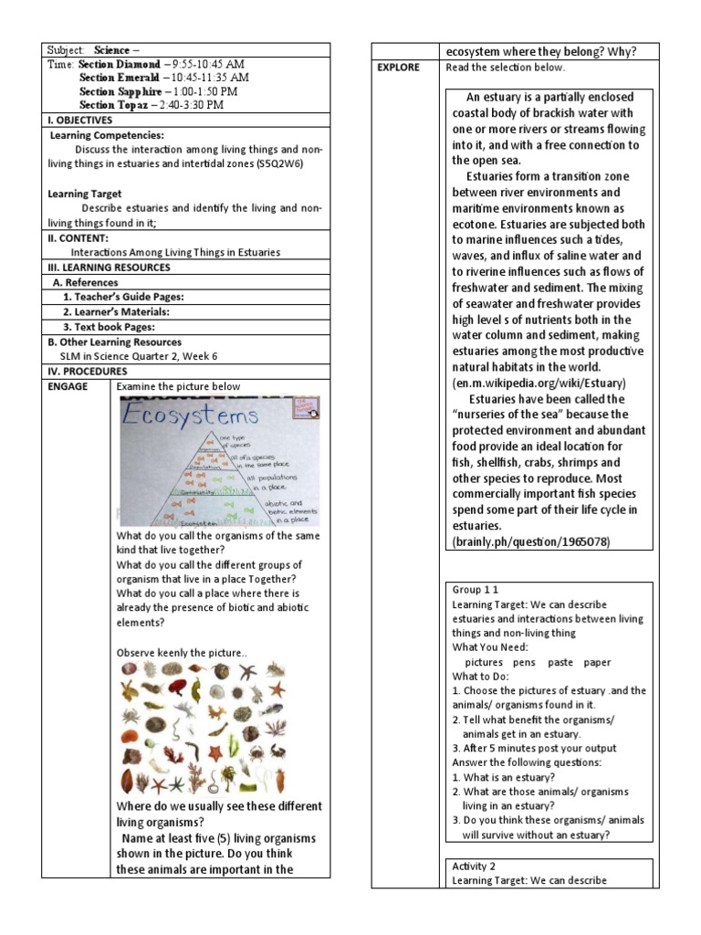 DLP IN SCIENCE Interaction of Living | PDF | Estuary | Biogeochemistry
