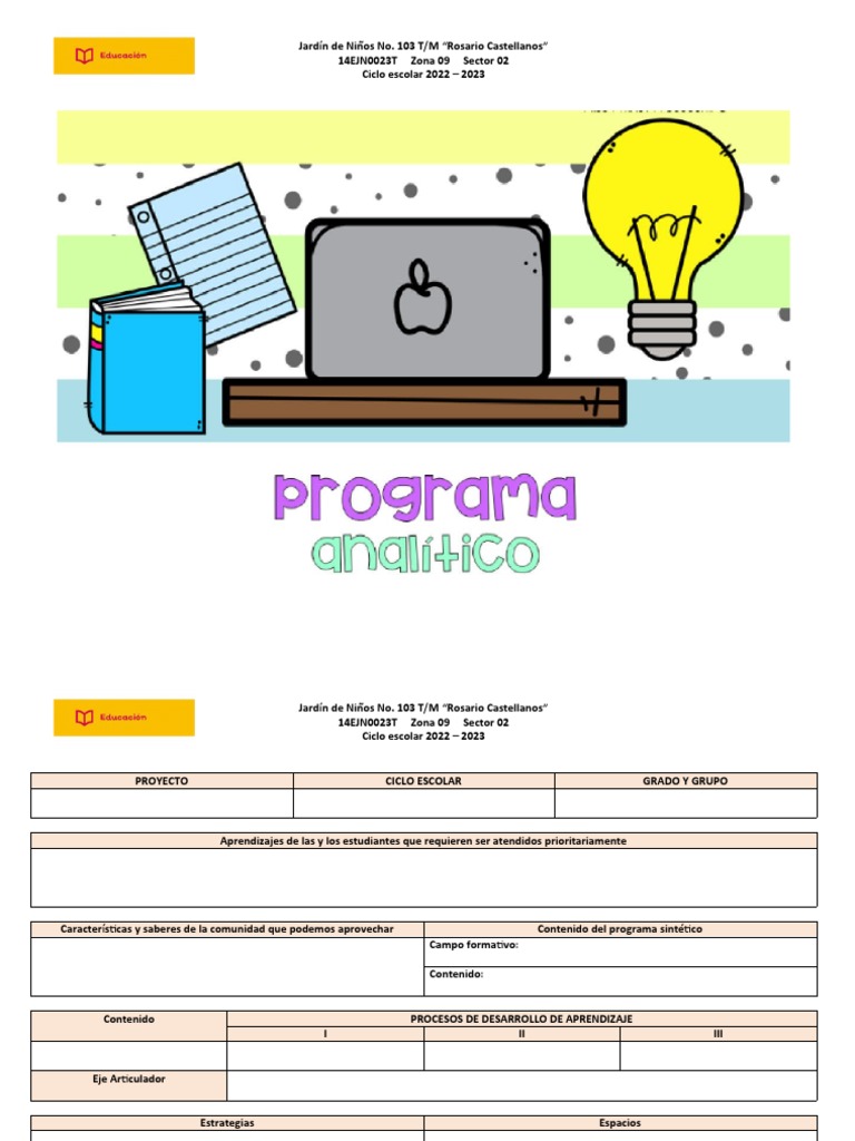 Formato para Programa Analítico | PDF