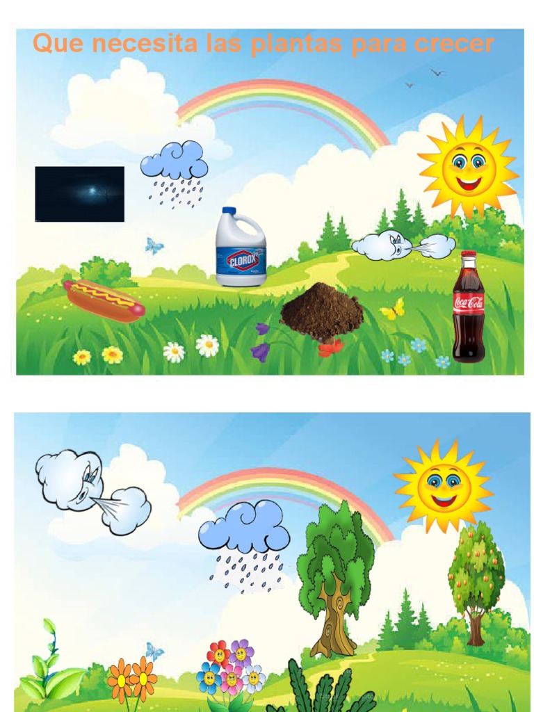 Que Necesita Una Planta para Crecer | PDF