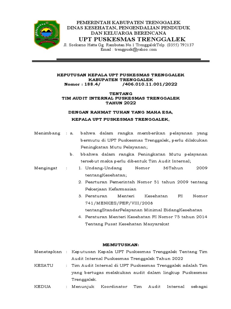 SK Tim Audit Internal 2022 | PDF