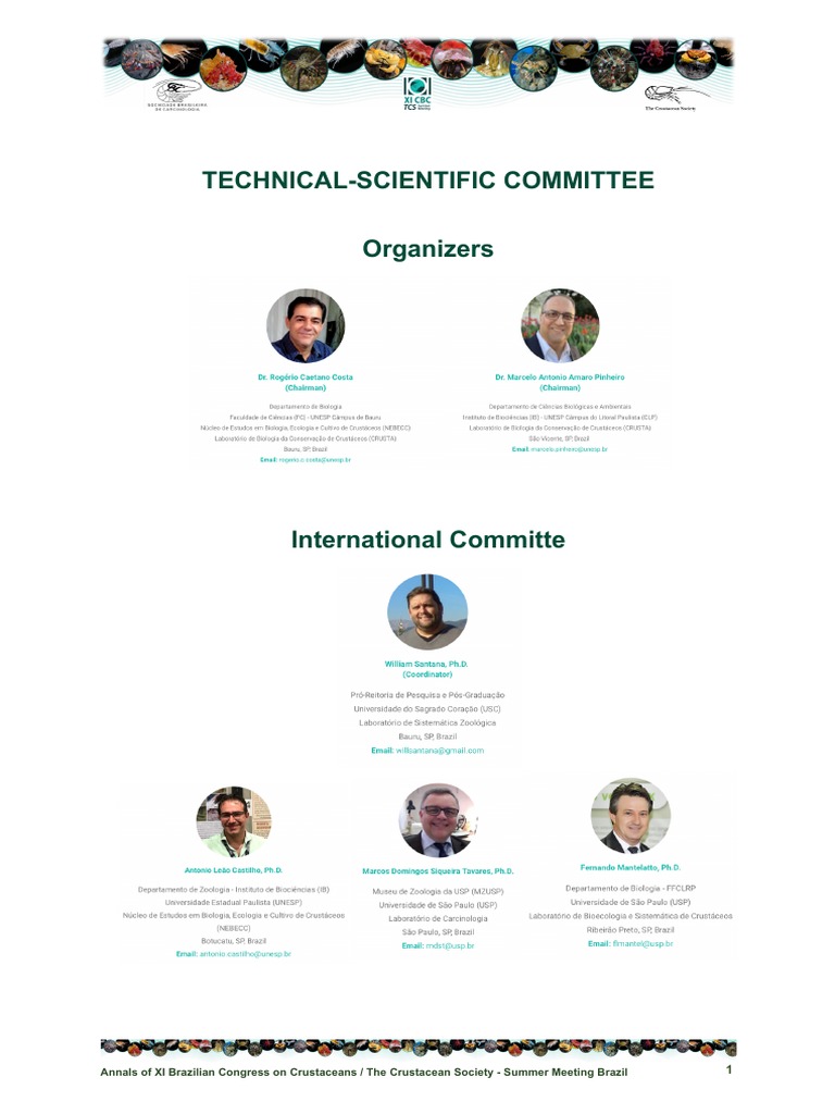 Livro de Anais - CBC - tcs.2022 (Final Version) 6 | PDF