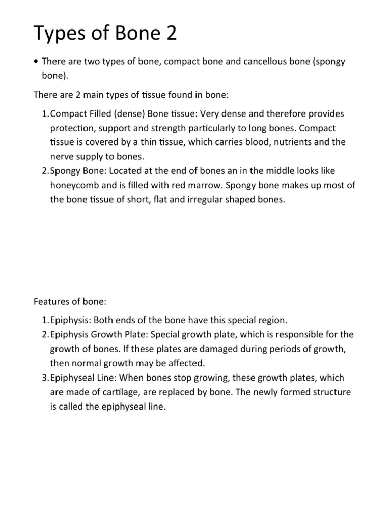 The Two Types of Bone Tissue: Compact and Cancellous Bone | PDF