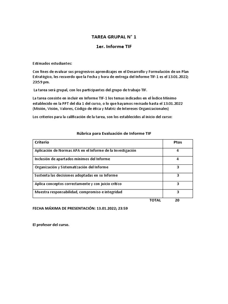 TAREA GRUPAL 1 1er. Informe TIF | PDF