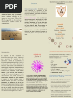 TRIPTICO de Experimento | PDF