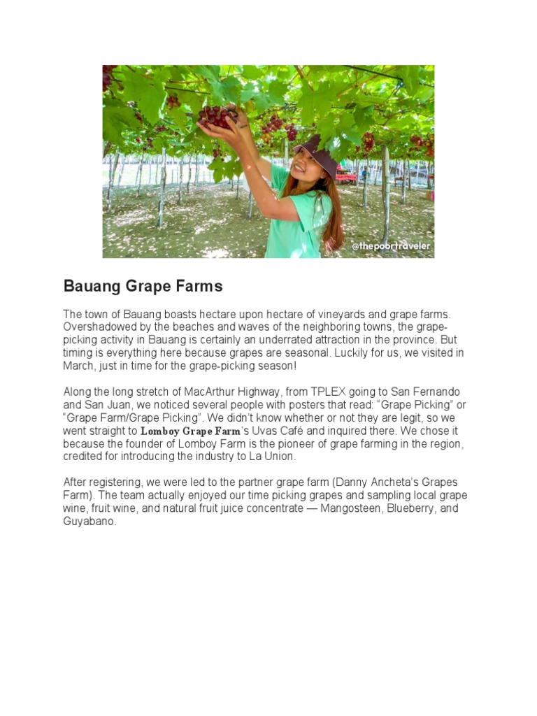Bauang Grape Farms | PDF