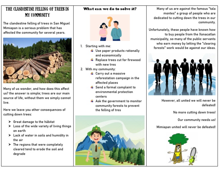 Triptico Ingles | PDF | Land Management | Agriculture