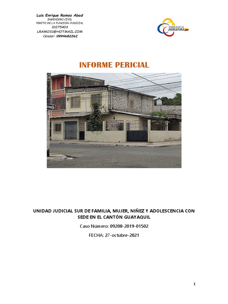 Informe Pericial 09208-2019-01502 | PDF | Testigo experto