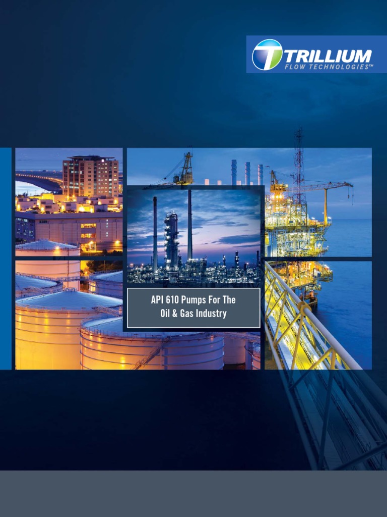 Trillium (Centrifugal Pump API 610) | PDF | Pump | Chemical Engineering