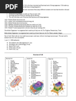 Cell Riddles Answer Key | PDF | Cell (Biology) | Endoplasmic Reticulum