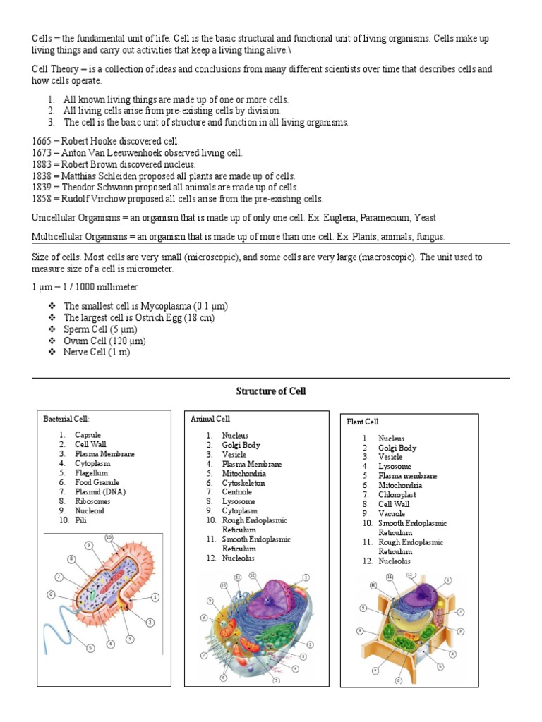 Grade 12-General Biology (Cells) | PDF | Cell (Biology) | Eukaryotes