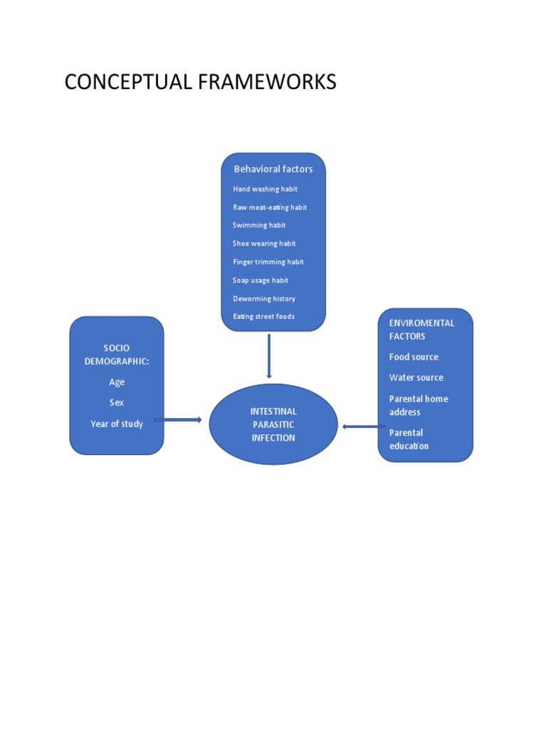 Conceptual Frameworks | PDF