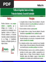 5-Política y Principios de SSPA en PEMEX | PDF | Desarrollo sostenible ...