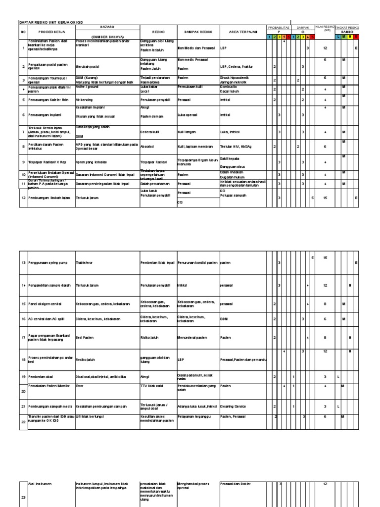 Data-Manrisk-Ok Igd 2021 | PDF