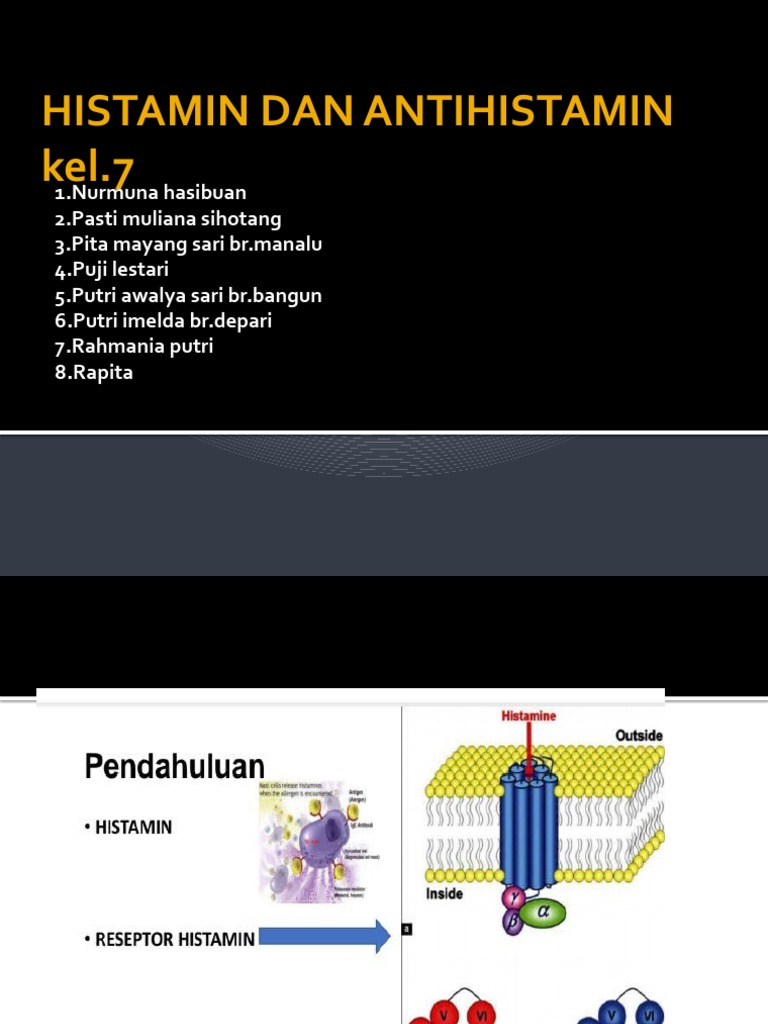 Histamin Dan Antihistamin PPT Ku | PDF