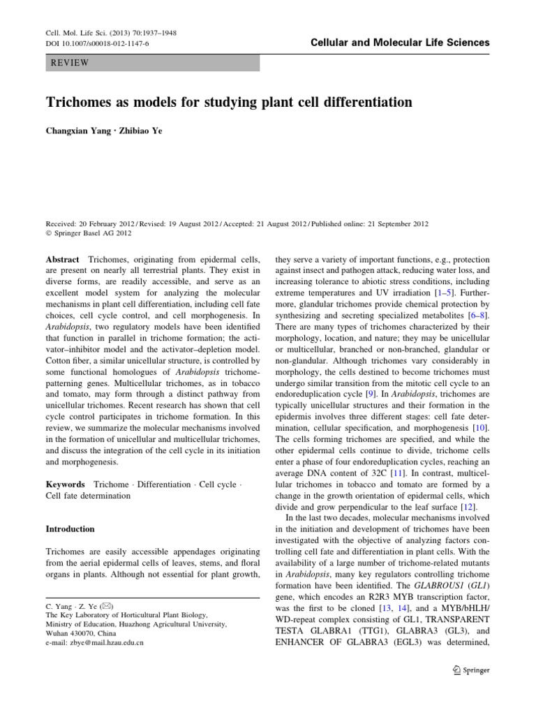 Trichomes As Models For Studying Plant Cell Differentiation: Cellular ...
