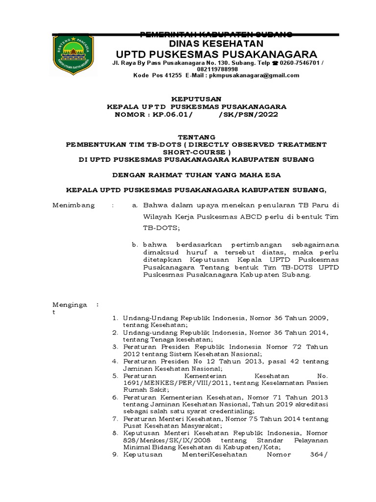1.SK Tim TB Dots Di Puskesmas | PDF