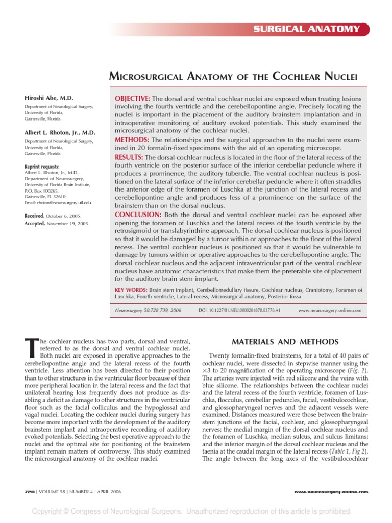 Rhoton - Cochlear Nuclei | PDF | Brainstem | Auditory System