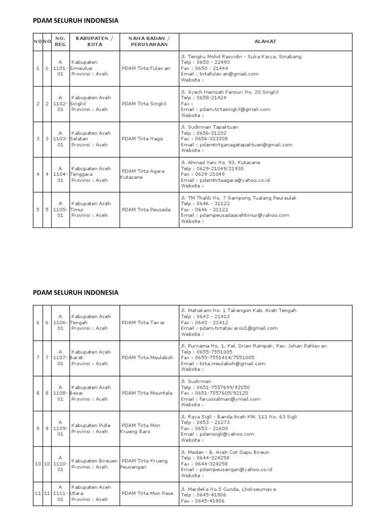 Pdam Seluruh Indonesia | PDF