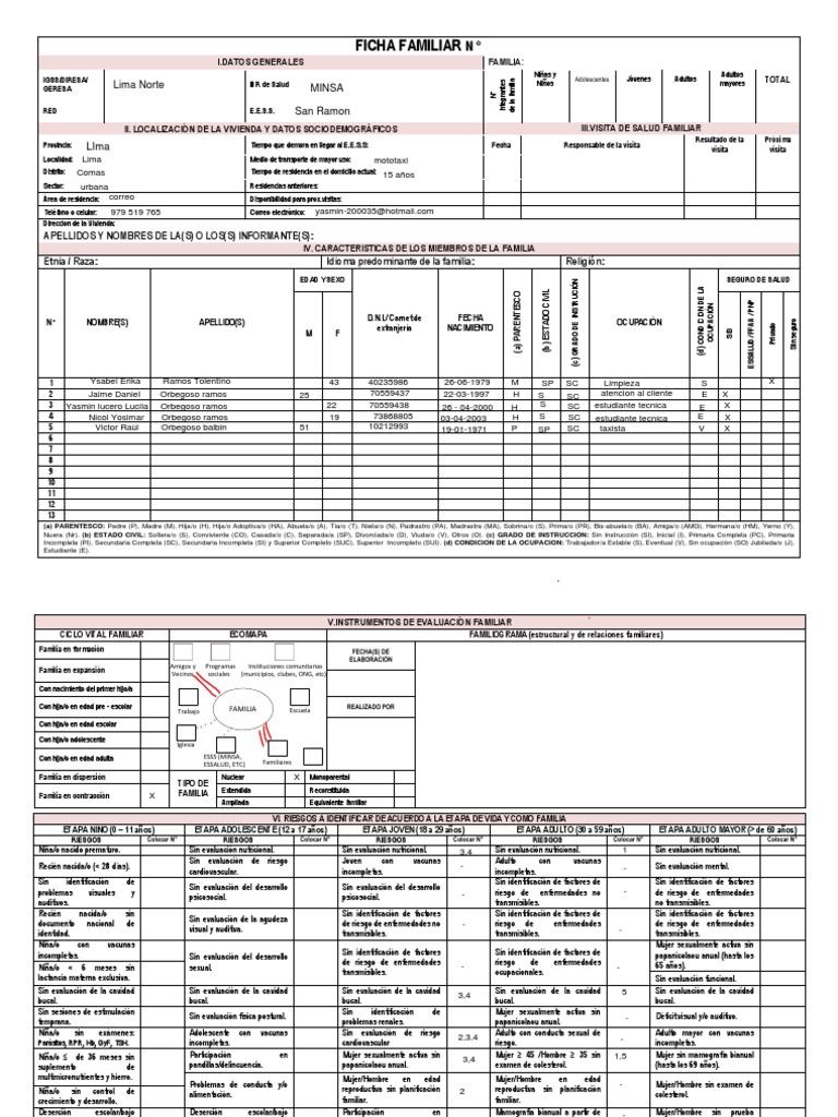 Ficha Familiar: Datos y Evaluación de Salud | PDF | Adultos