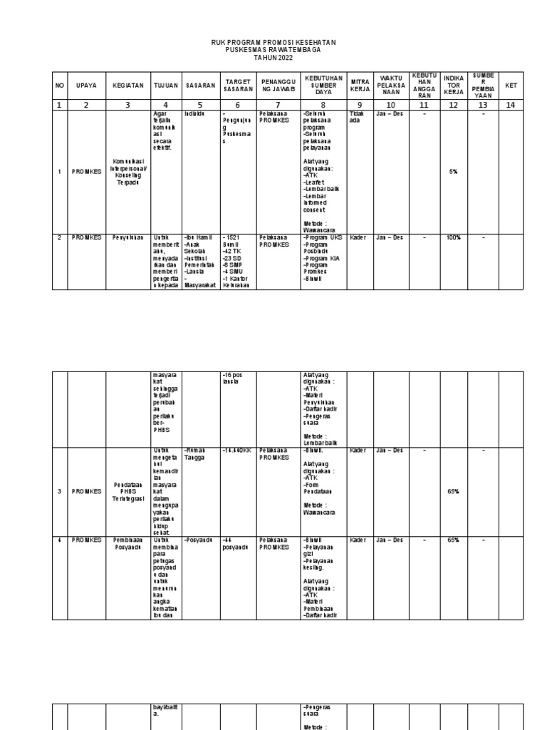 Ruk Program Promosi Kesehatan | PDF