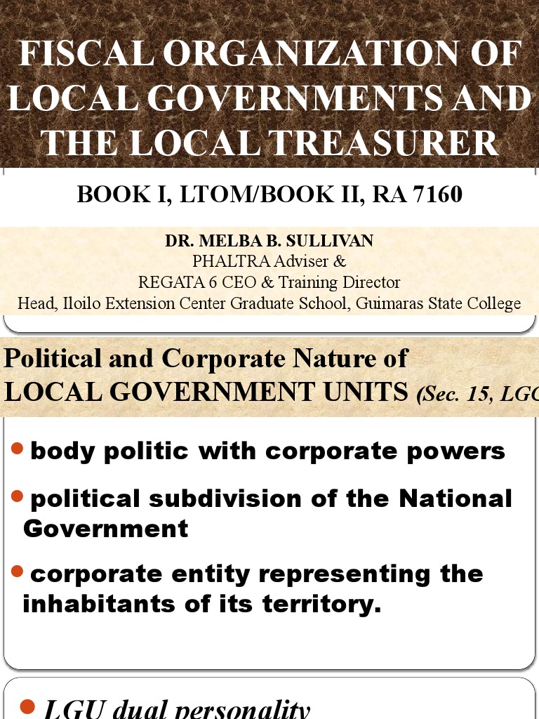 1 Fiscal Organization of Local Governments | PDF | Governance | Government