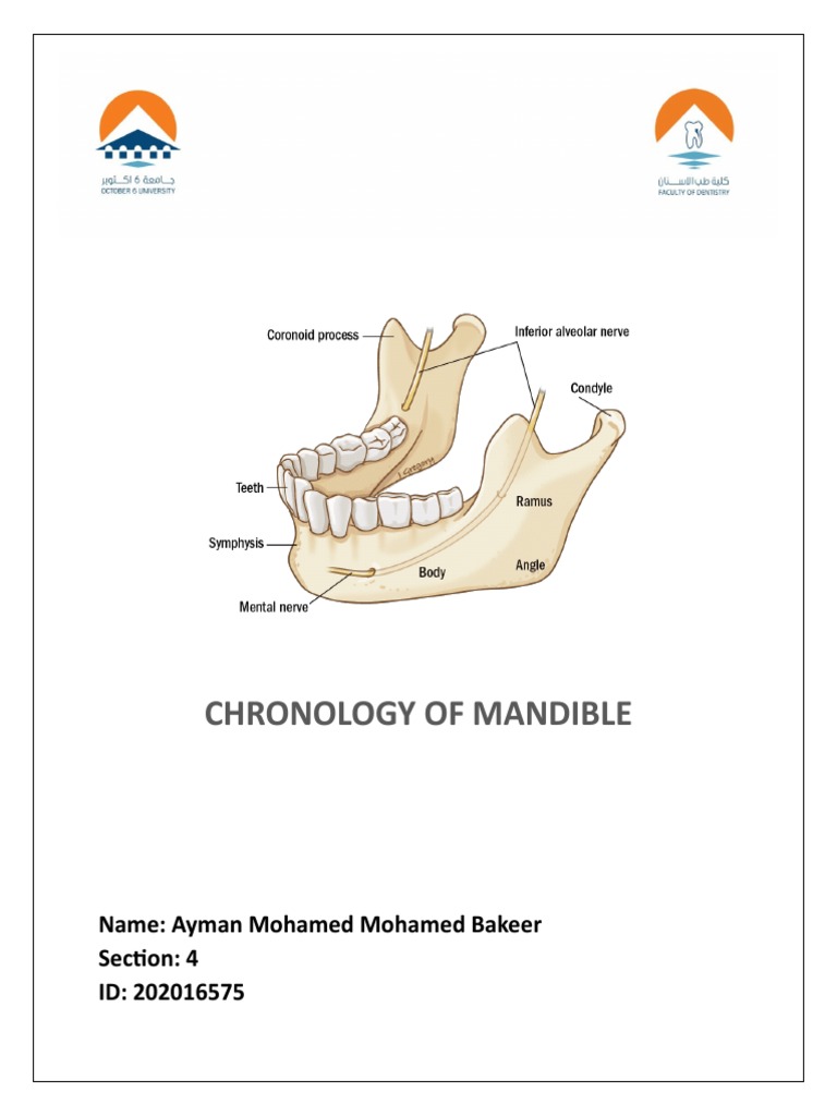 Chronology of Mandible | PDF | Musculoskeletal System | Skeletal System