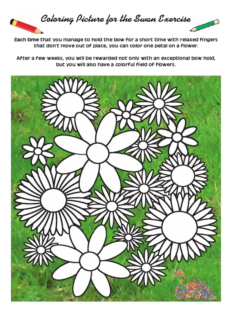 Flower Petal Bow Hold Exercise | PDF