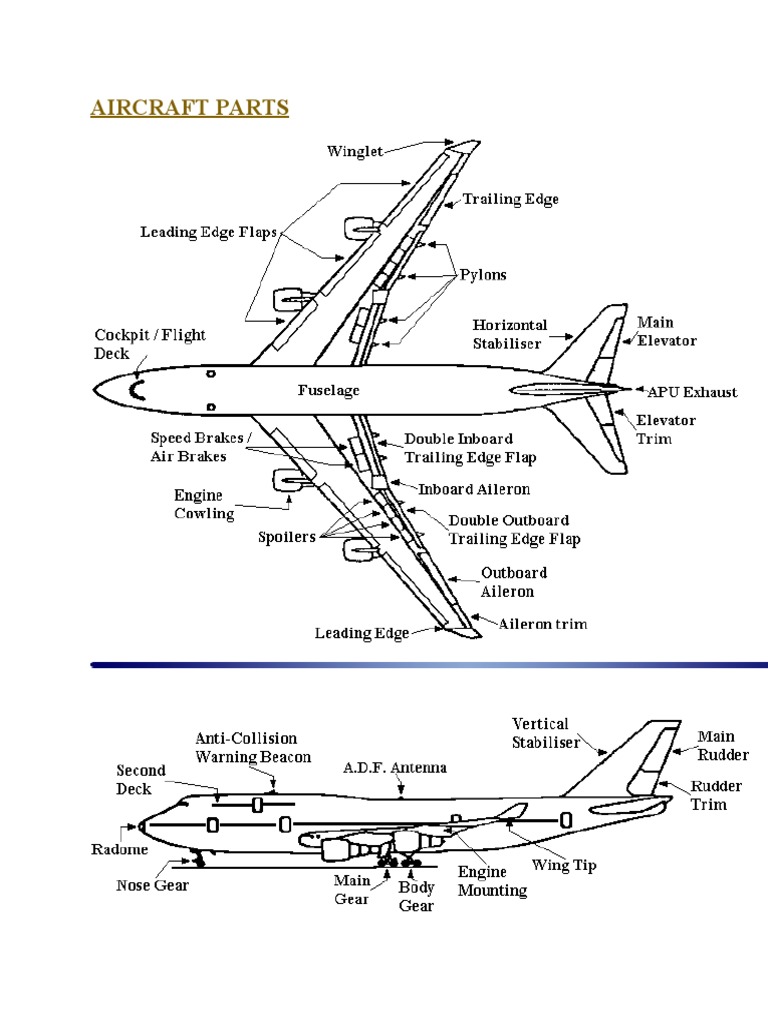 Airoplane Information | PDF | Flight Control Surfaces | Aircraft