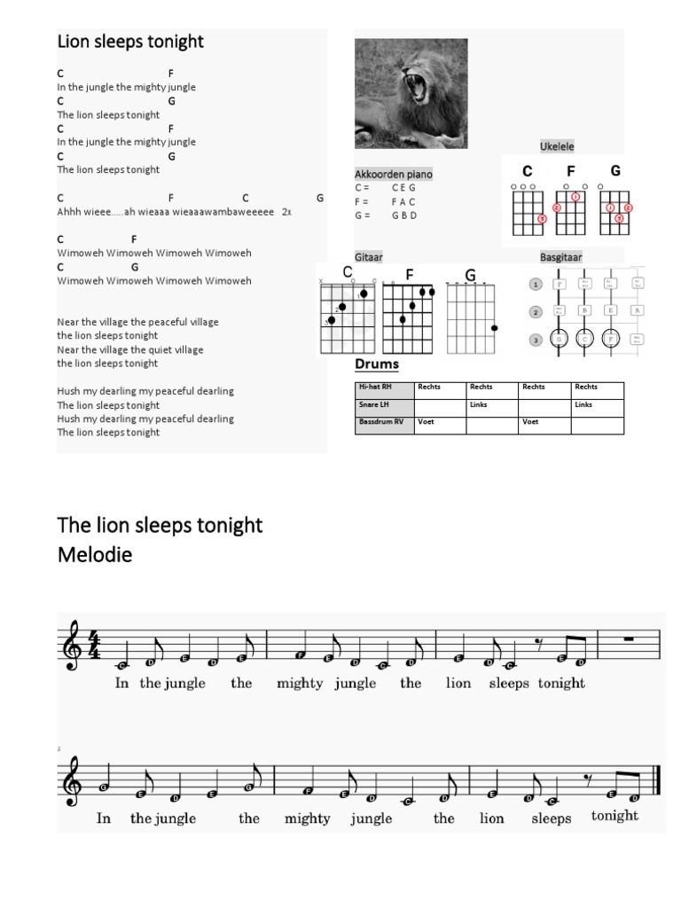 The Lion Sleeps Tonight | PDF