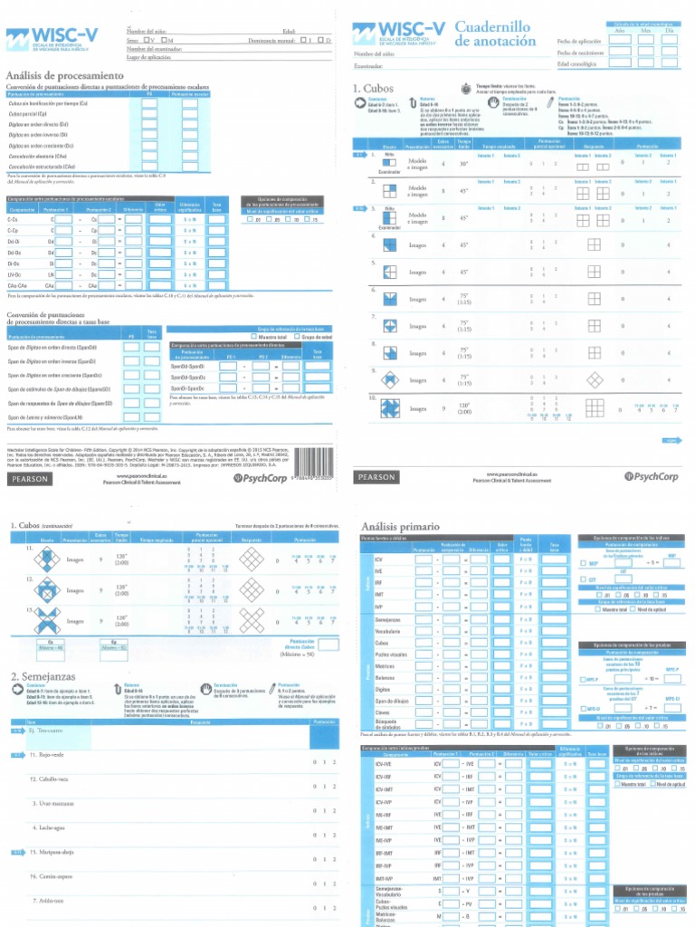 Cuadernillo Anotacion WISC V | PDF
