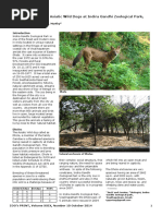 Minimum Enclosure Sizes for Exotic Animals | PDF | Crocodile | Zoo