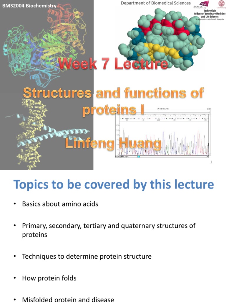 Biochemistry Week 7 Structures and Functions of Proteins I-2020 | PDF ...