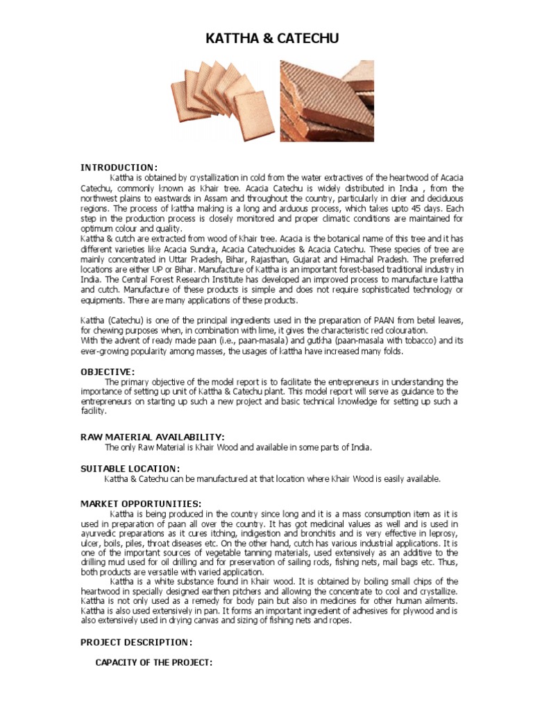 Model Project Profiles | PDF | Expense | Stocks